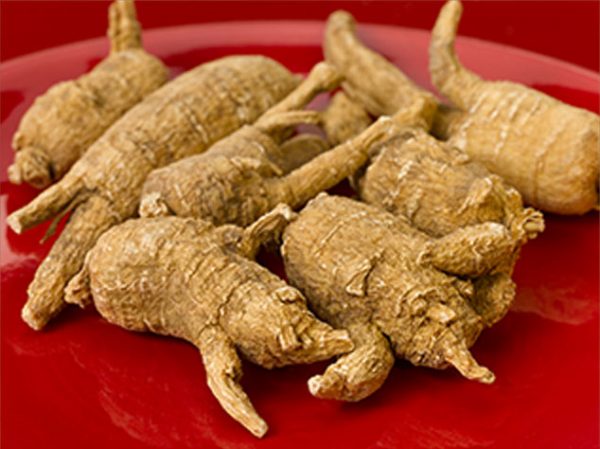 Ginseng Board of Wisconsin | The Gold Standard of American Ginseng